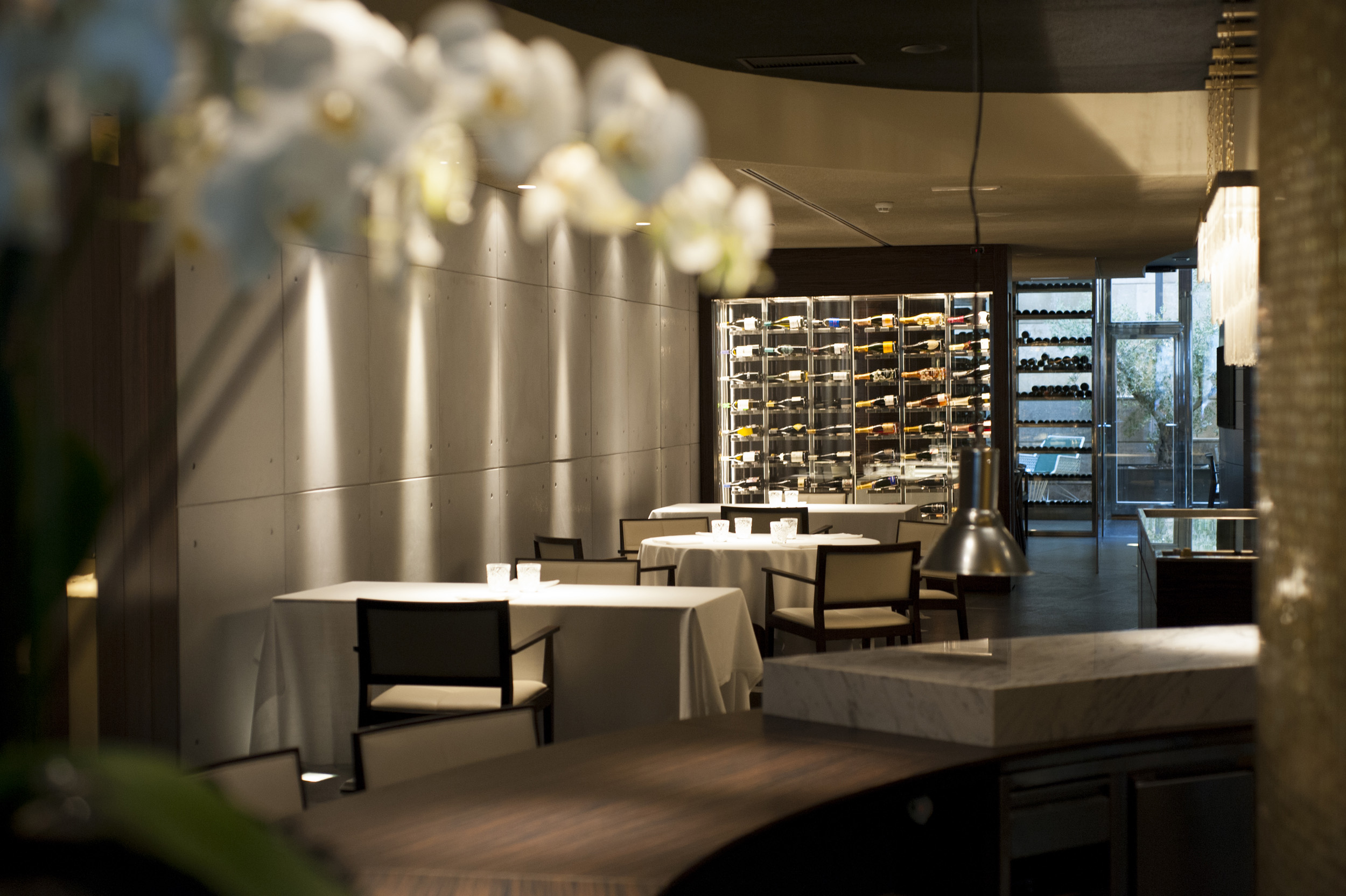 Cebo Información y Recetas en Pescaderías Coruñesas