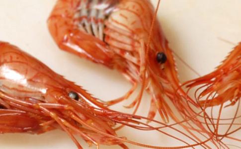 Camarón Mariscos, características e información