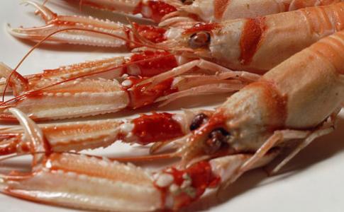 Cigala Mariscos, características e información