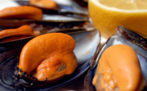 Mejillón Mariscos, características e información